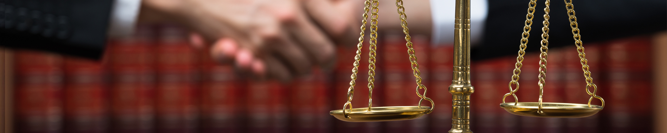 Tsujikawa & Partners